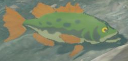 Hyrule Bass - Zelda Wiki