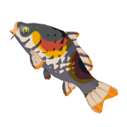 Sanke Carp - Zelda Wiki