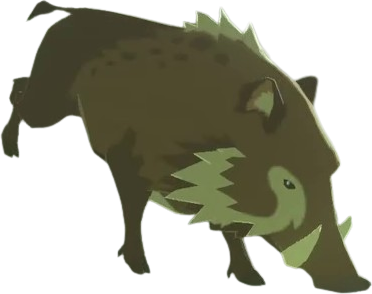 Boar - Zelda Wiki