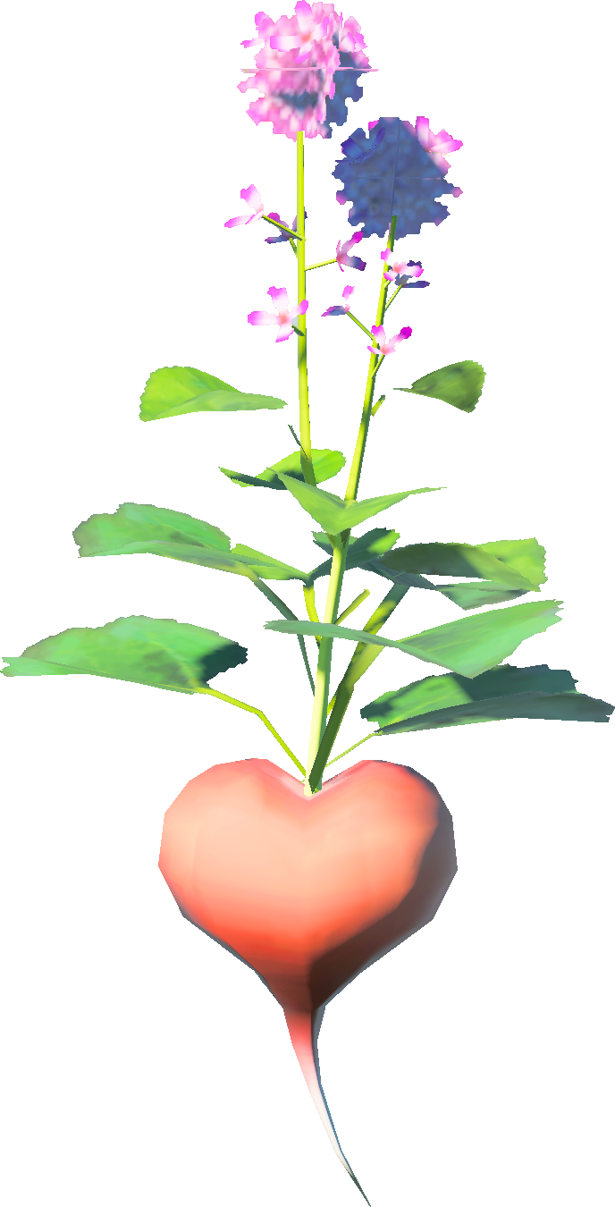 Big Hearty Radish - Zelda Wiki