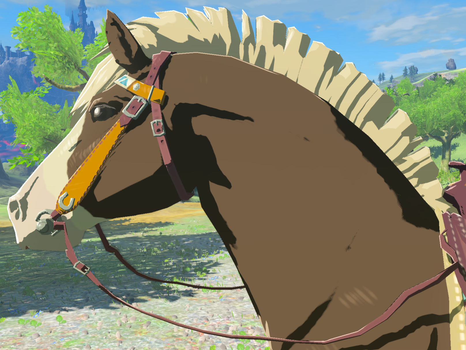 Stable Bridle - Zelda Wiki