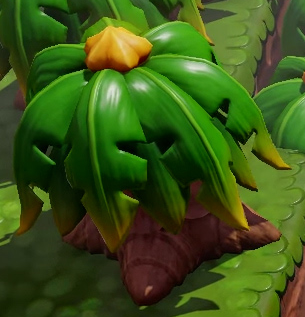 Palm Tree - Zelda Wiki