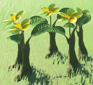 Flower Trail - Zelda Wiki
