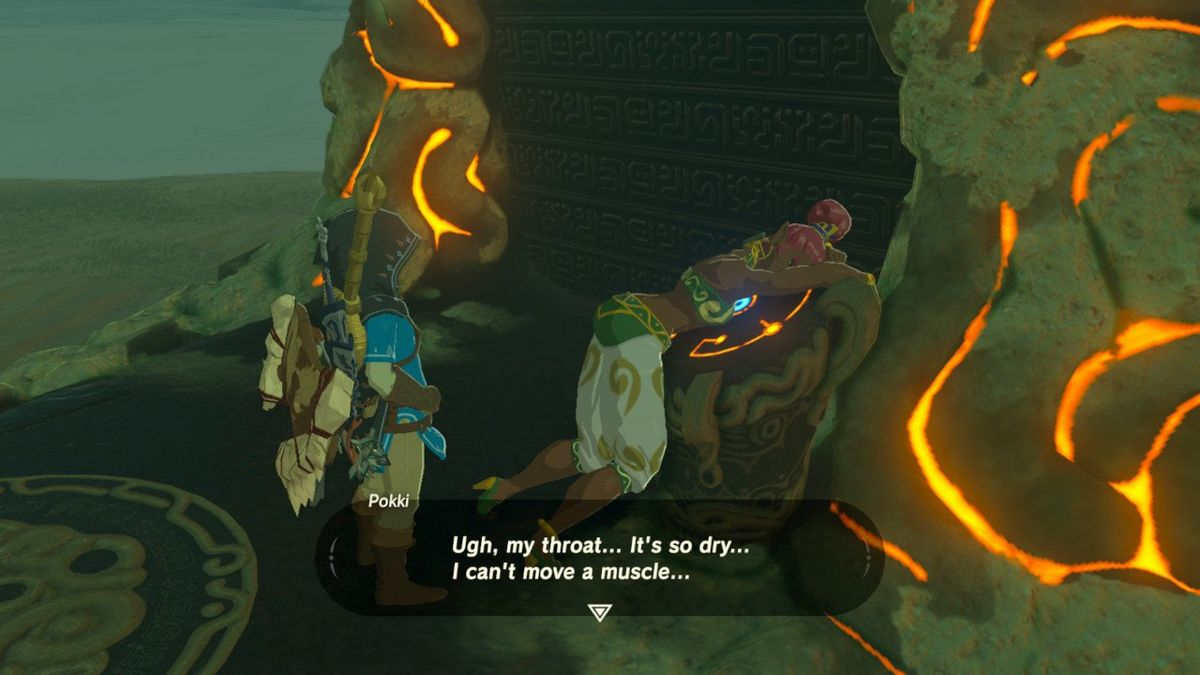 The Perfect Drink - Zelda Wiki