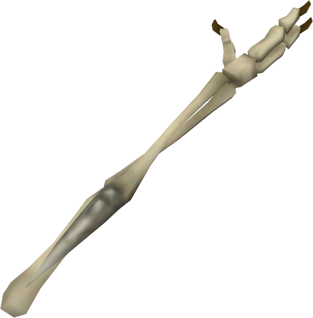 Lizalfos Arm - Zelda Wiki