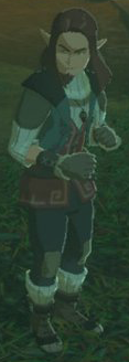 Onya - Zelda Wiki