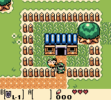 Marin and Tarin's House - Zelda Wiki