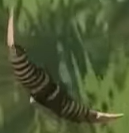 File:TotK Blue Moblin Horn Icon.png - Zelda Wiki