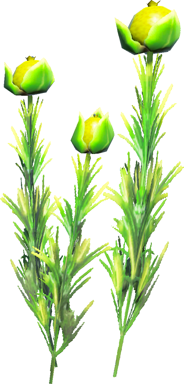 Hyrule Herb - Zelda Wiki