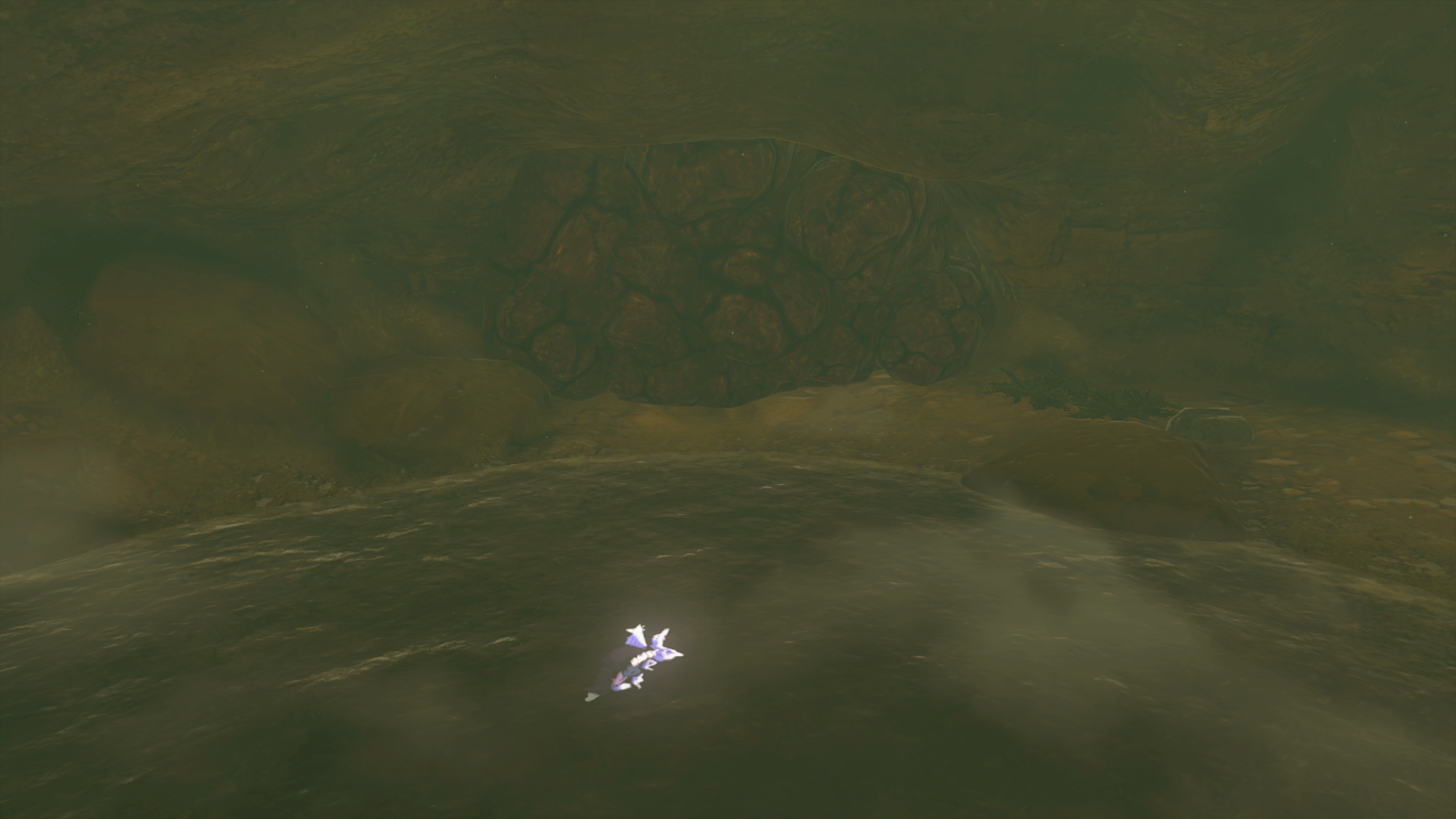 Gerudo Canyon Well - Zelda Wiki