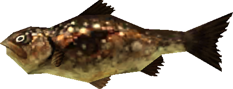 Fragrant Reekfish - Zelda Wiki