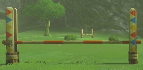Obstacle - Zelda Wiki
