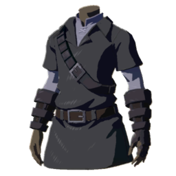 Dark Tunic - Zelda Wiki