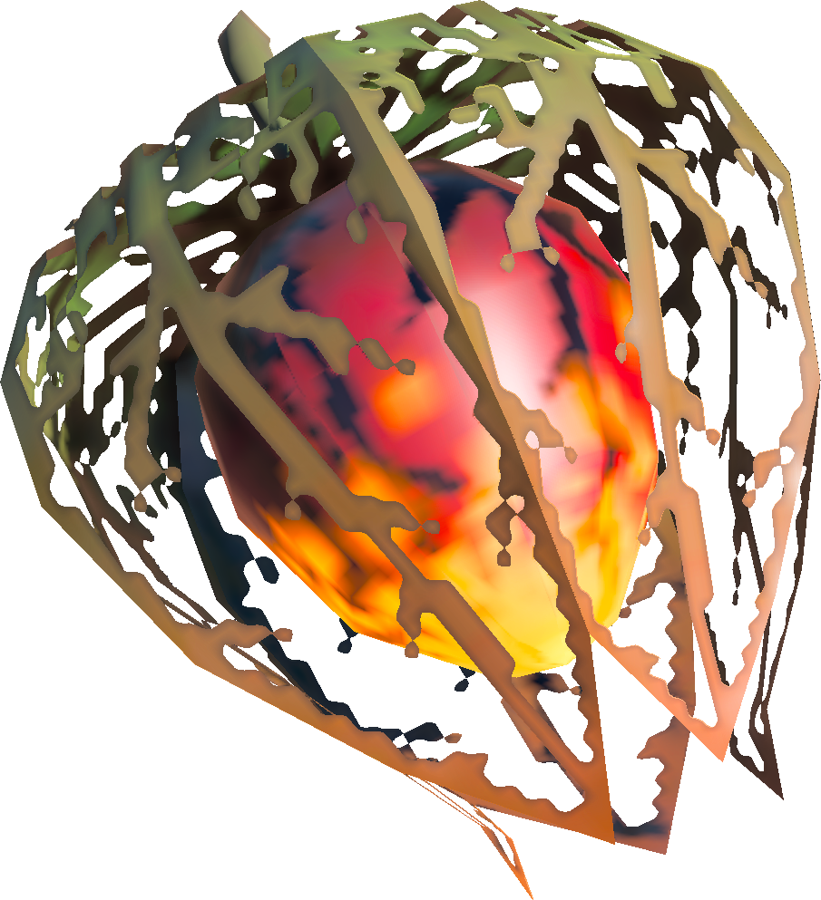 Fire Fruit - Zelda Wiki