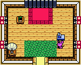 Camera Shop - Zelda Wiki