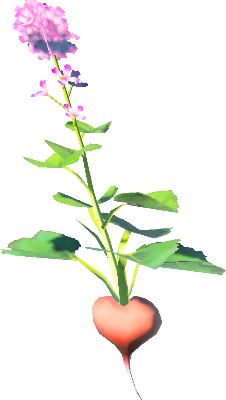 Hearty Radish - Zelda Wiki
