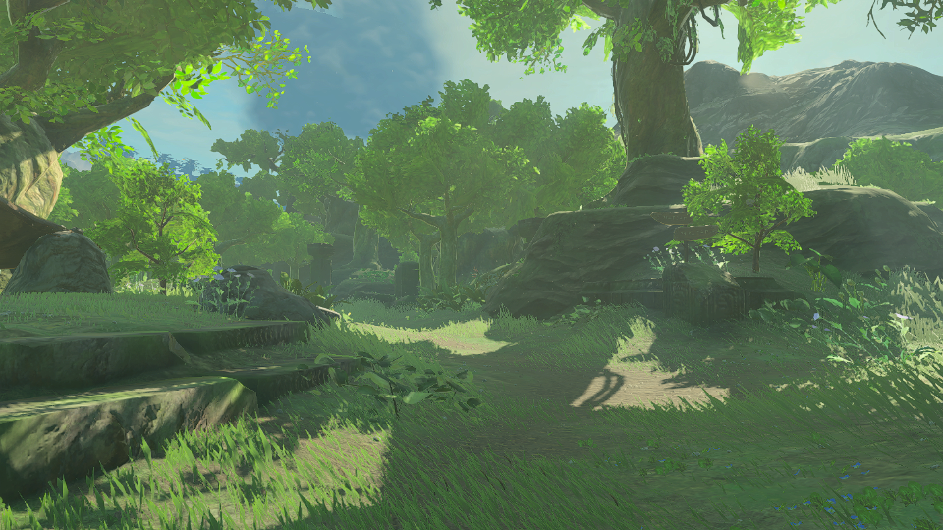 Faron Highroad - Zelda Wiki