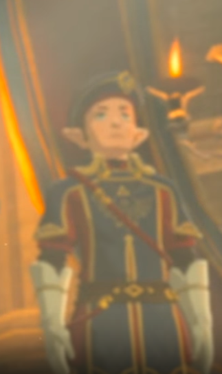 Royal Guard - Zelda Wiki