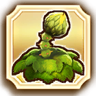 Manhandla's Sapling - Zelda Wiki