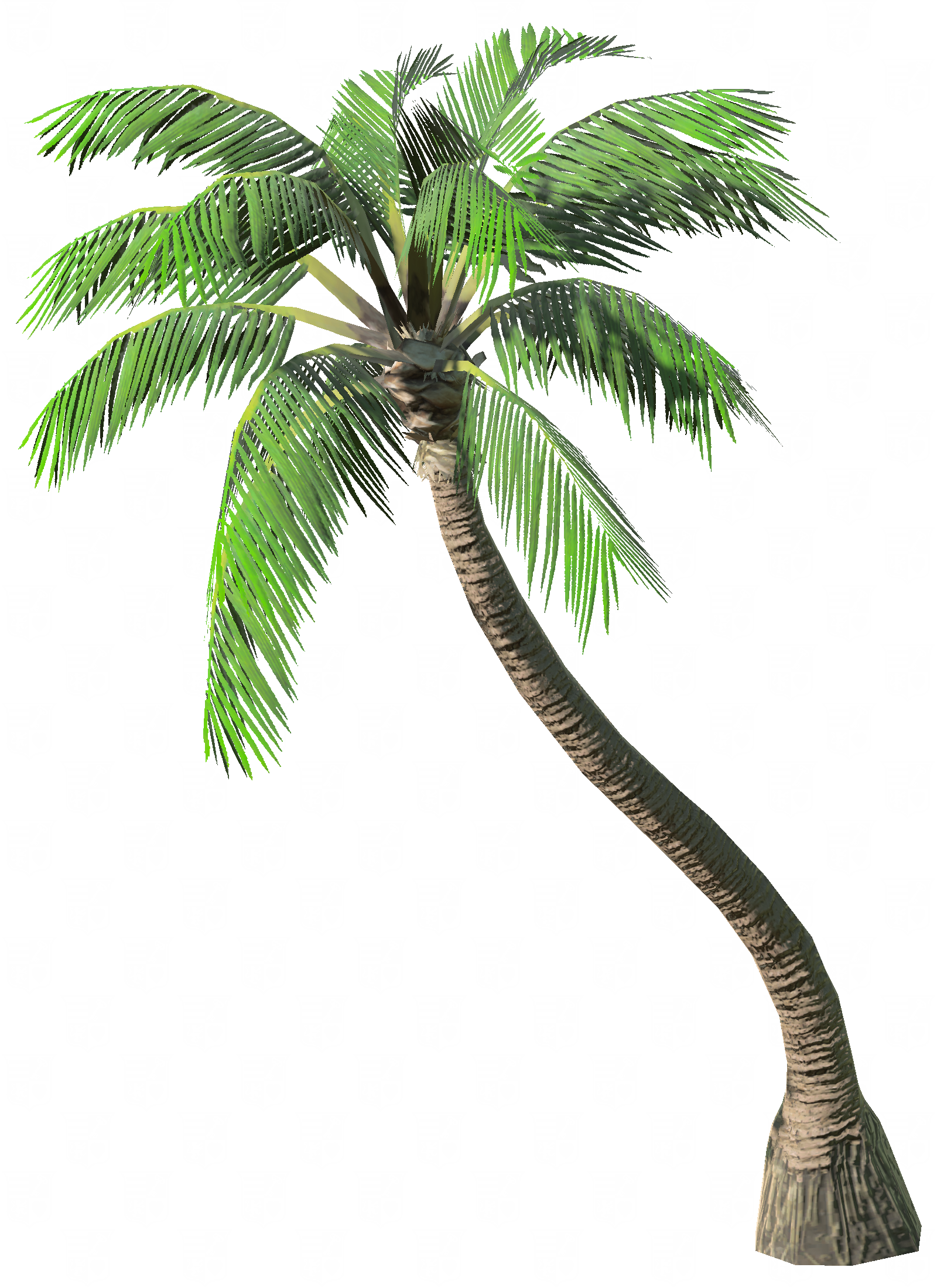 Palm Tree - Zelda Wiki