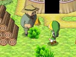 Force Gem 9 - Zelda Wiki