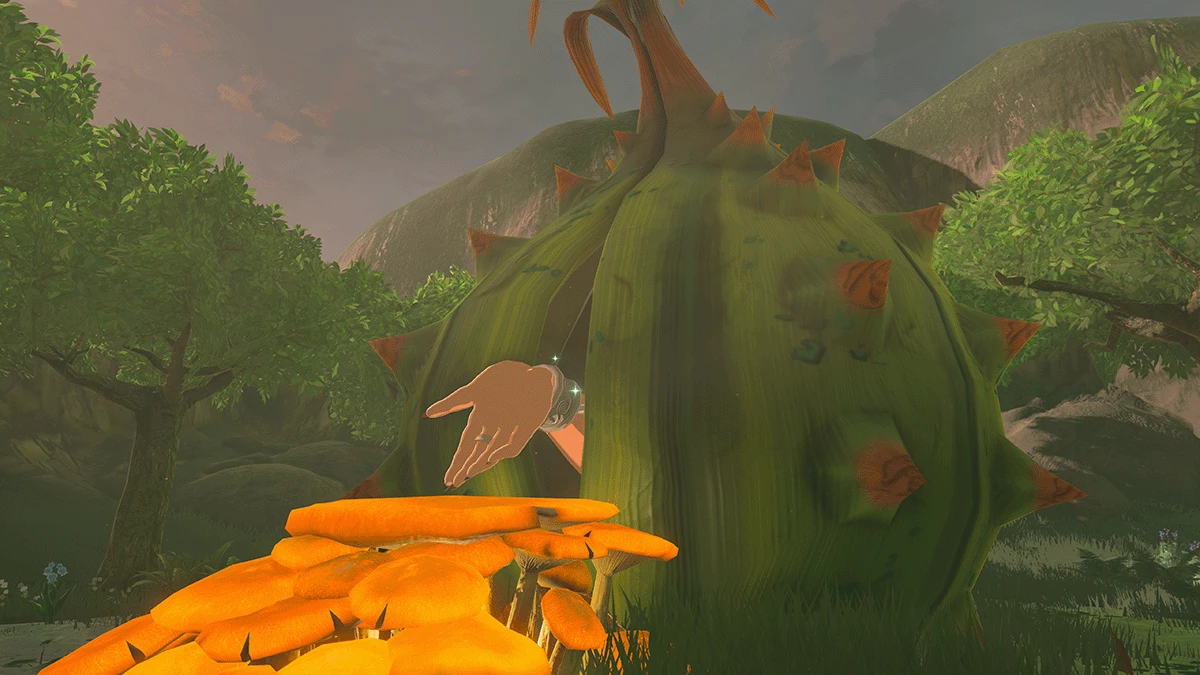 Great Fairy Cotera (Voice Memory) - Zelda Wiki