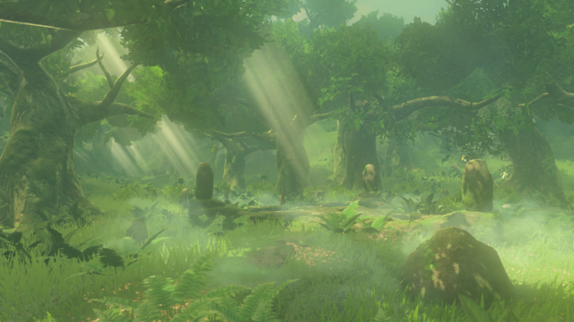Korok Forest - Zelda Wiki