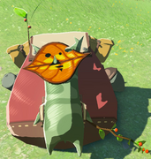 Korok - Zelda Wiki