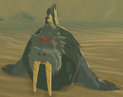 Sand Seal - Zelda Wiki