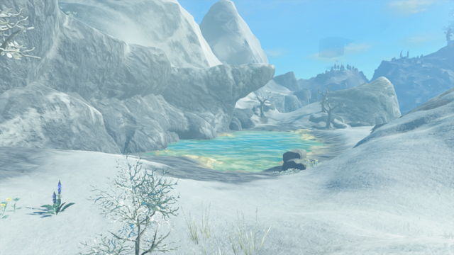 Sherfin's Secret Hot Spring - Zelda Wiki