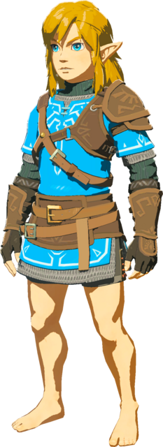 Champion's Tunic - Zelda Wiki
