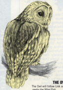 Owl - Zelda Wiki