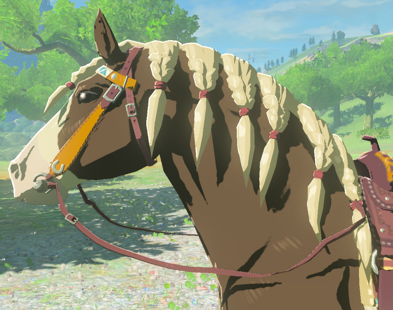 Braided Mane - Zelda Wiki