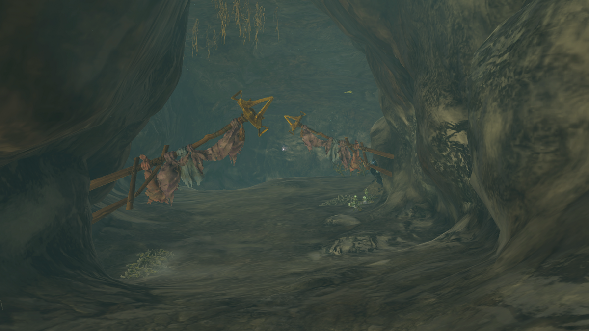 Brightcap Cave - Zelda Wiki