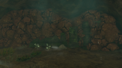 Sage Temple Cave - Zelda Wiki