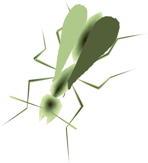 Golden Bug - Zelda Wiki