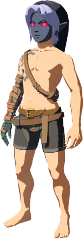 Dark Hood - Zelda Wiki
