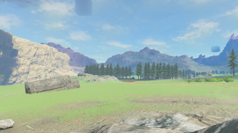 Salari Plain - Zelda Wiki