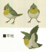 Common Sparrow - Zelda Wiki