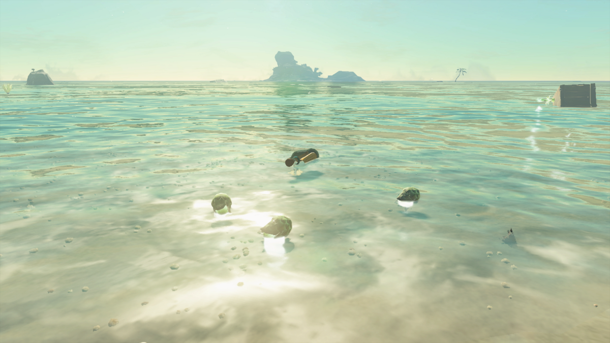 A Bottled Cry for Help - Zelda Wiki