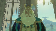King Rhoam - Zelda Wiki