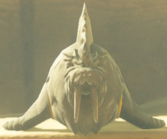 Sand Seal - Zelda Wiki