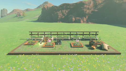 Flower Bed - Zelda Wiki