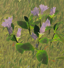Flower - Zelda Wiki