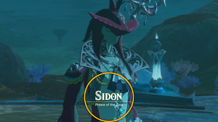 Guidelines:Terminology - Zelda Wiki