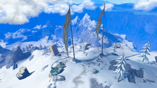 Selmie's Shield-Surfing - Zelda Wiki