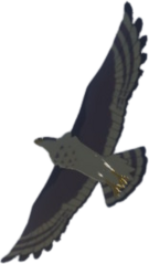 Spectacle Rock - Zelda Wiki