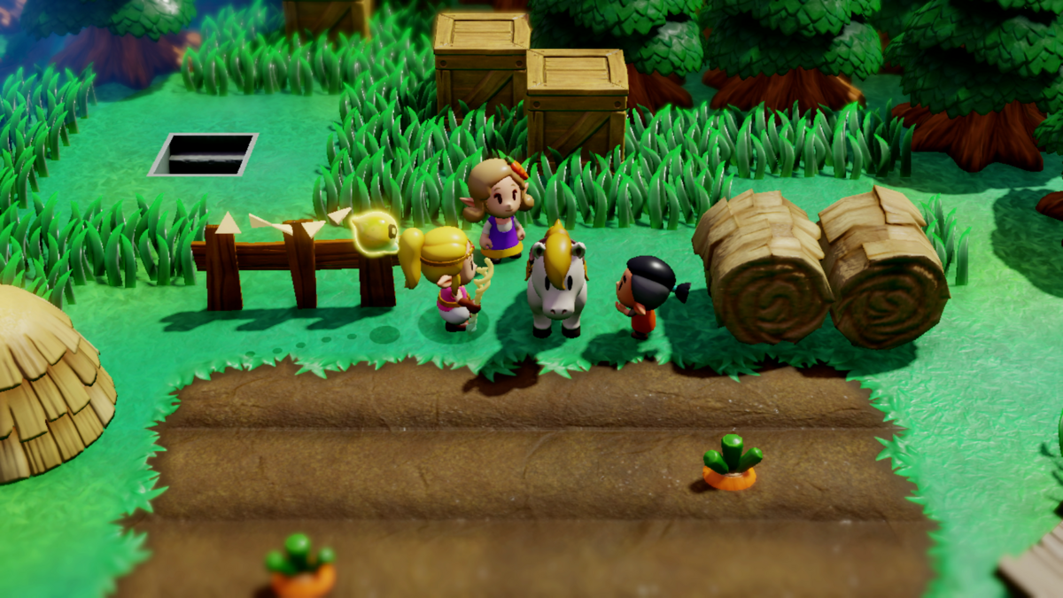 Impa's Gift - Zelda Wiki