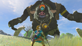 Gallery:Breath of the Wild – Nintendo Switch 2 Edition - Zelda Wiki