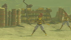 Riju of Gerudo Town - Zelda Wiki